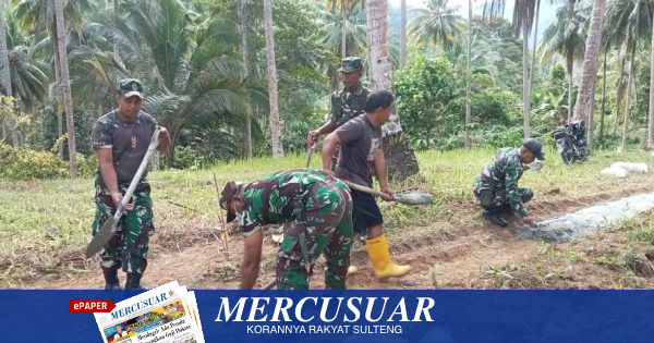Koramil Sojol Gotong Rotong Bangun Akses Jalan Petani - HARIAN MERCUSUAR
